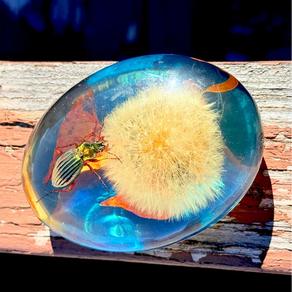 Accents | Vintage Lucite Oval Paperweight Golden Ground Beetle ...